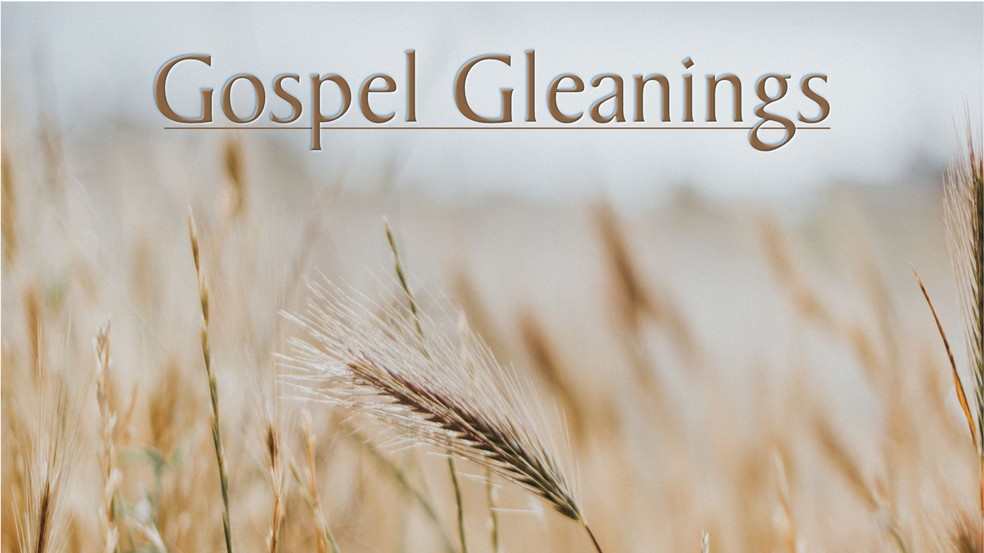Gospel Gleanings #19 – Rocky Mountain Christian Ministries